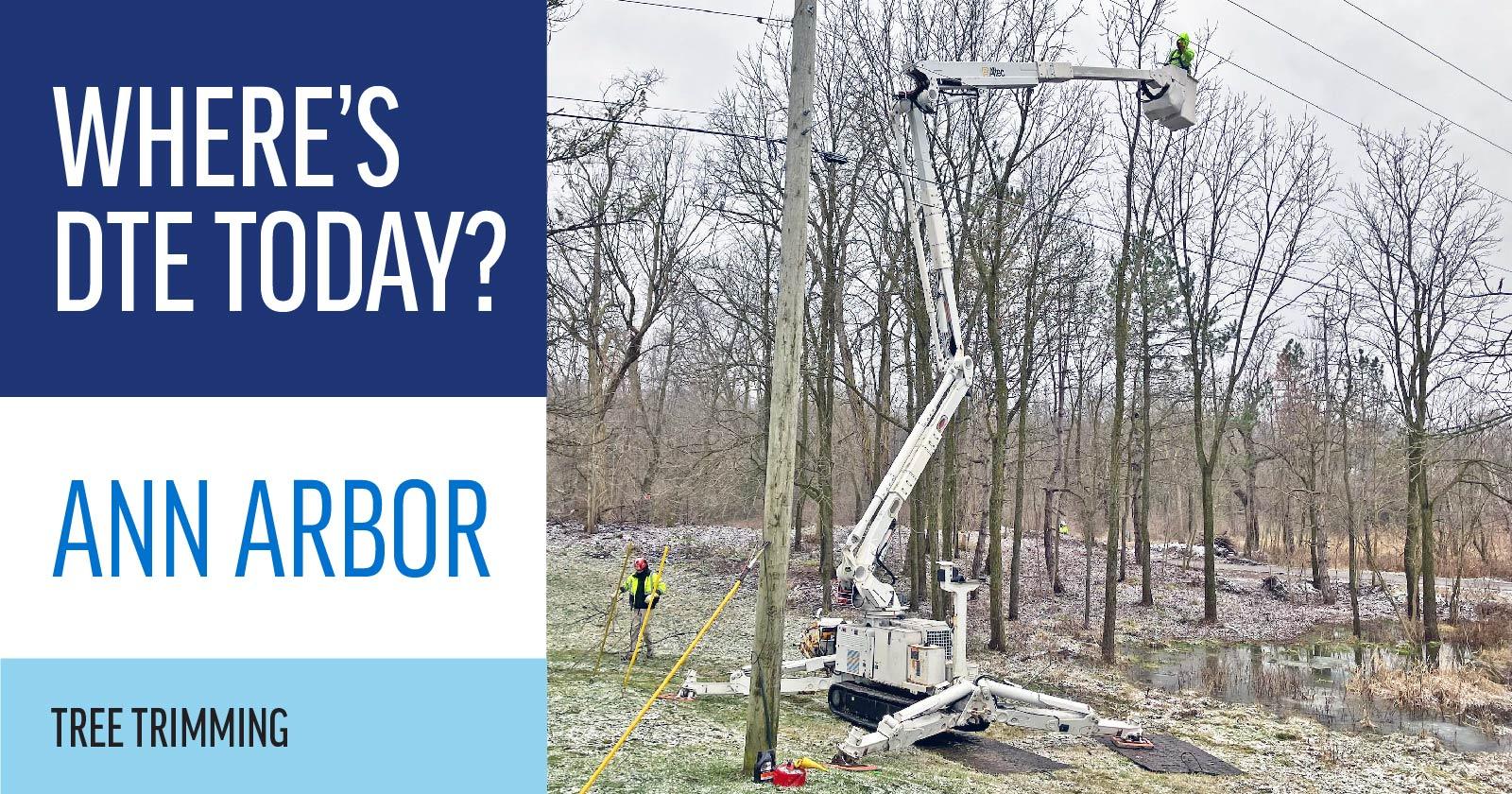 Ann Arbor trees gets a trim on Joy, Earhart Roads - Empowering Michigan