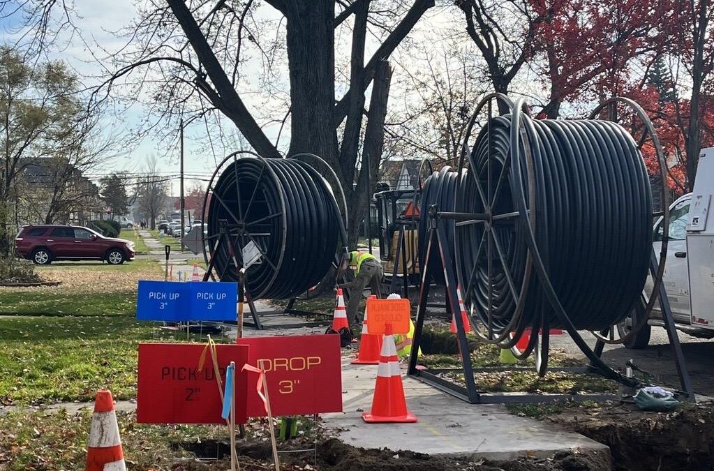 Appoline - Empowering Michigan