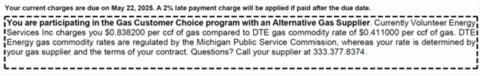 Understanding natural gas choice - Empowering Michigan
