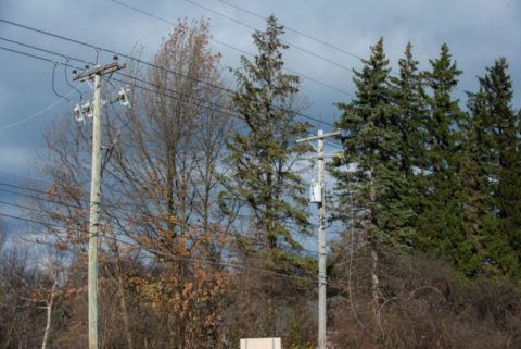 What to do if you see a downed power line - Empowering Michigan
