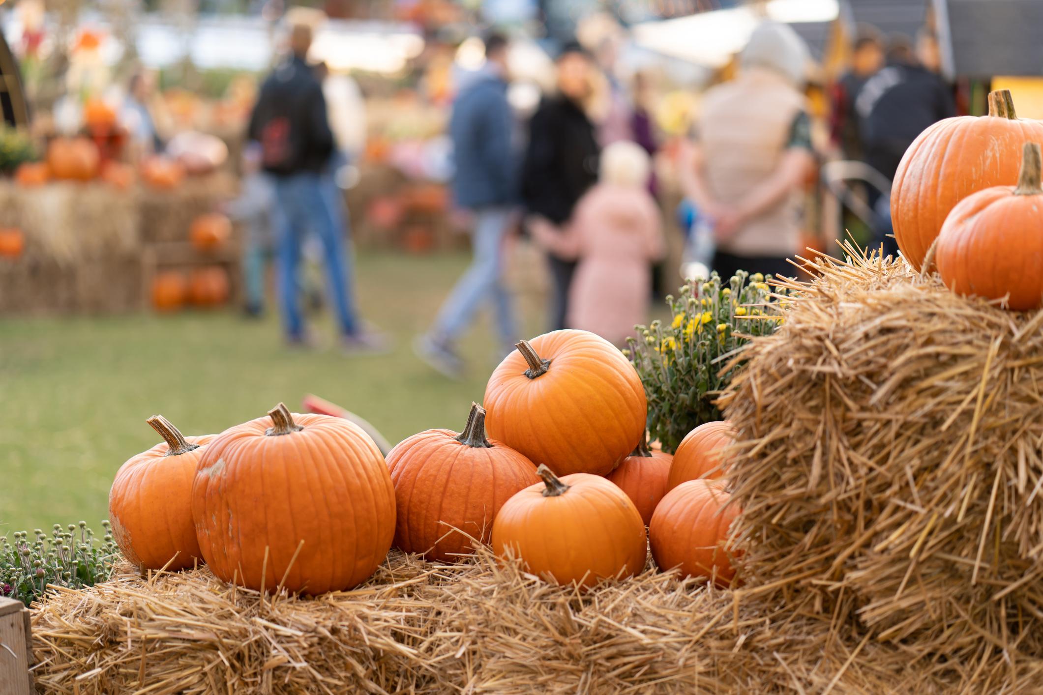 Ways to Celebrate Halloween Across Michigan - Empowering Michigan