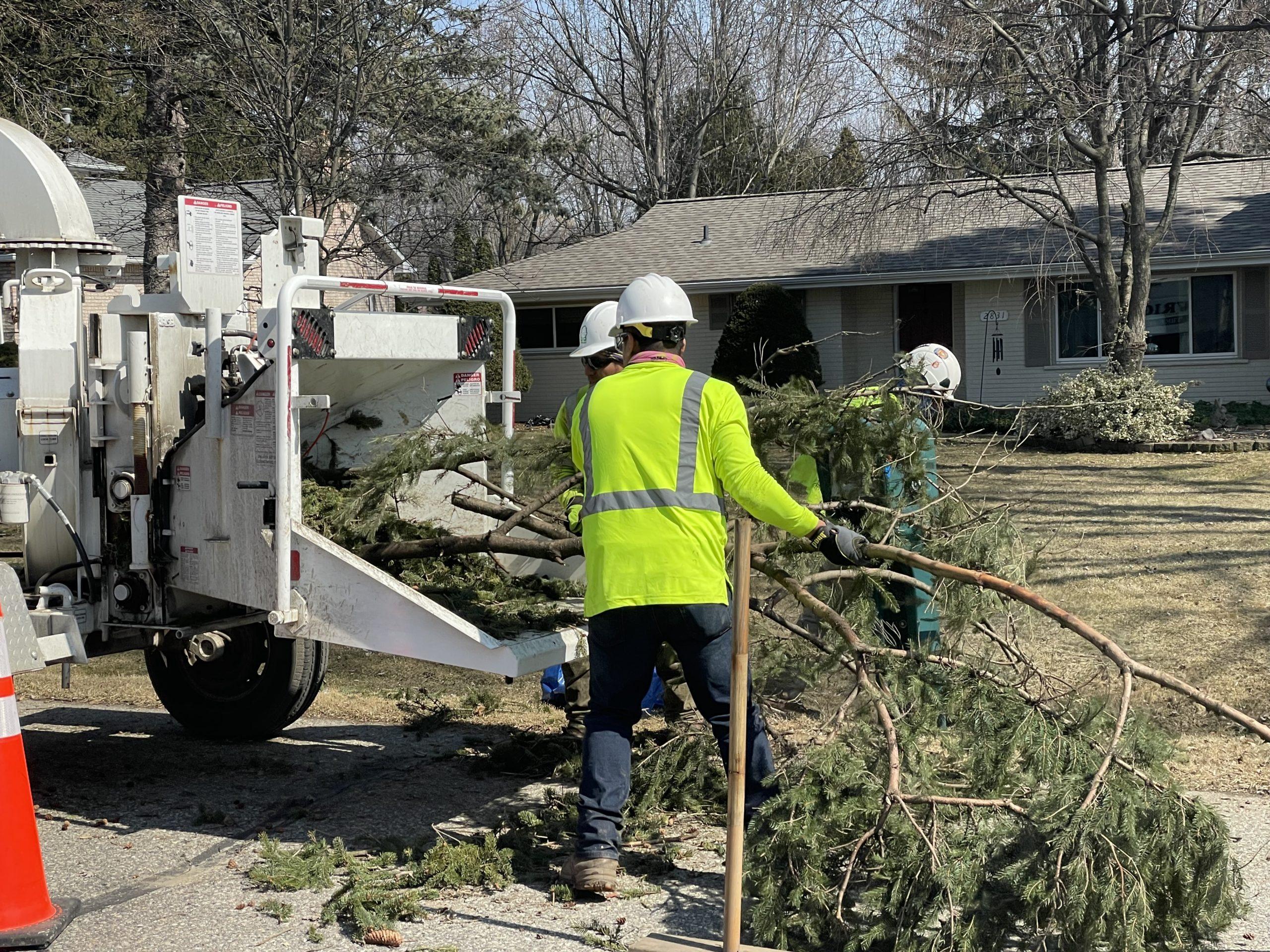 Tree trim crews work in Rochester Hills to improve reliability ...