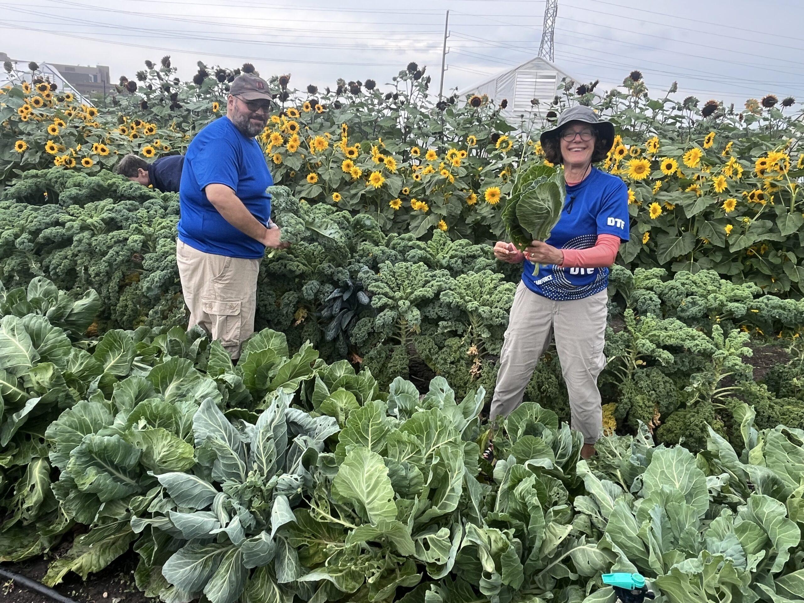 Community Transformation - Empowering Michigan