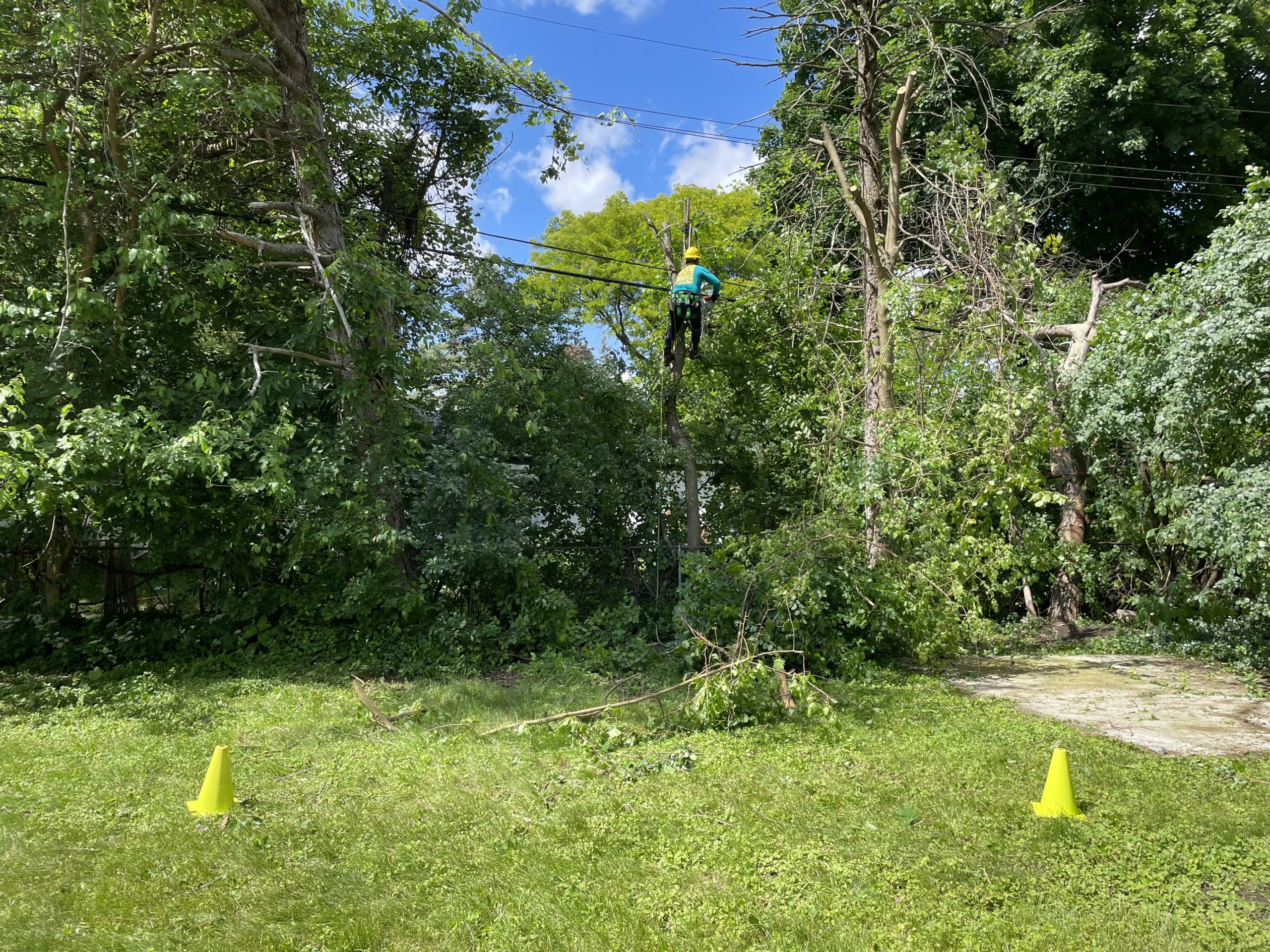 Crew trims trees back from powerline in Southfield - Empowering Michigan