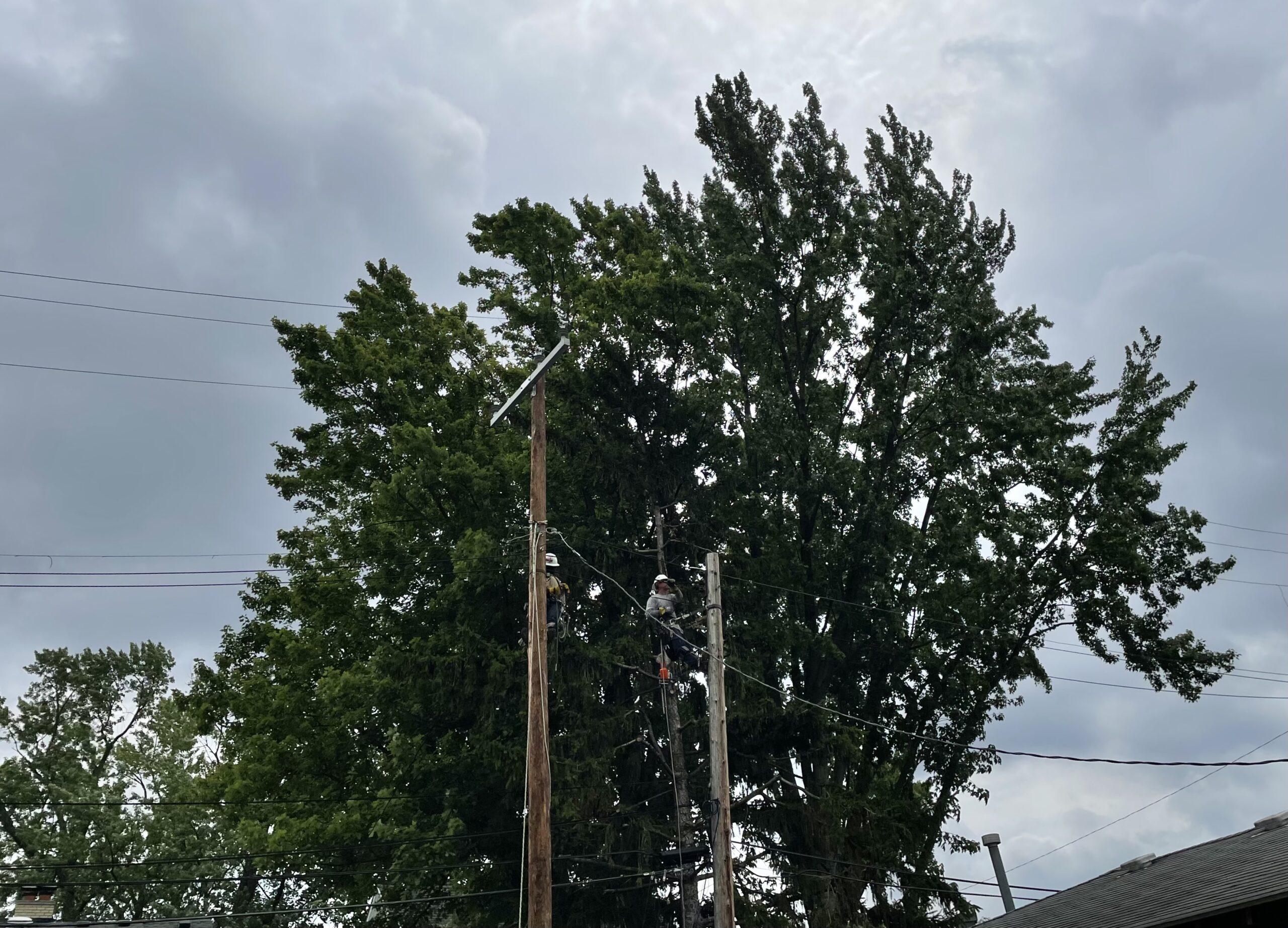Crews improving the overhead system in Royal Oak - Empowering Michigan