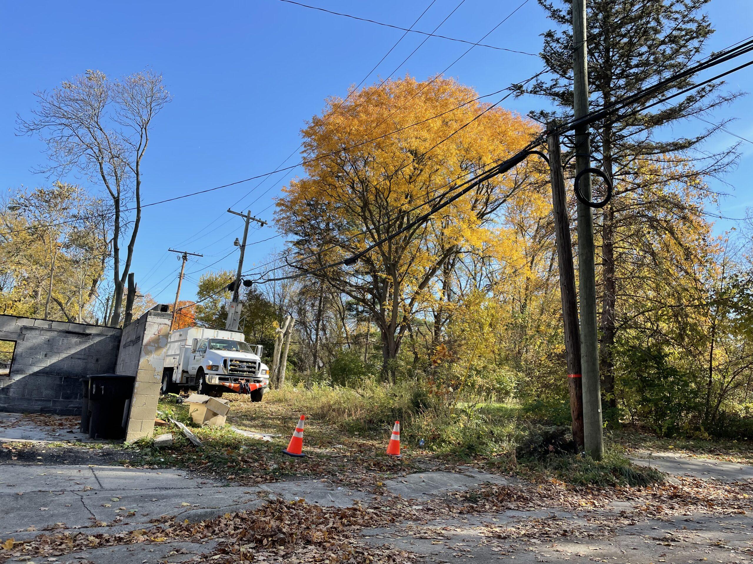 Tree trimming crews improve power reliability in Brightmoor ...