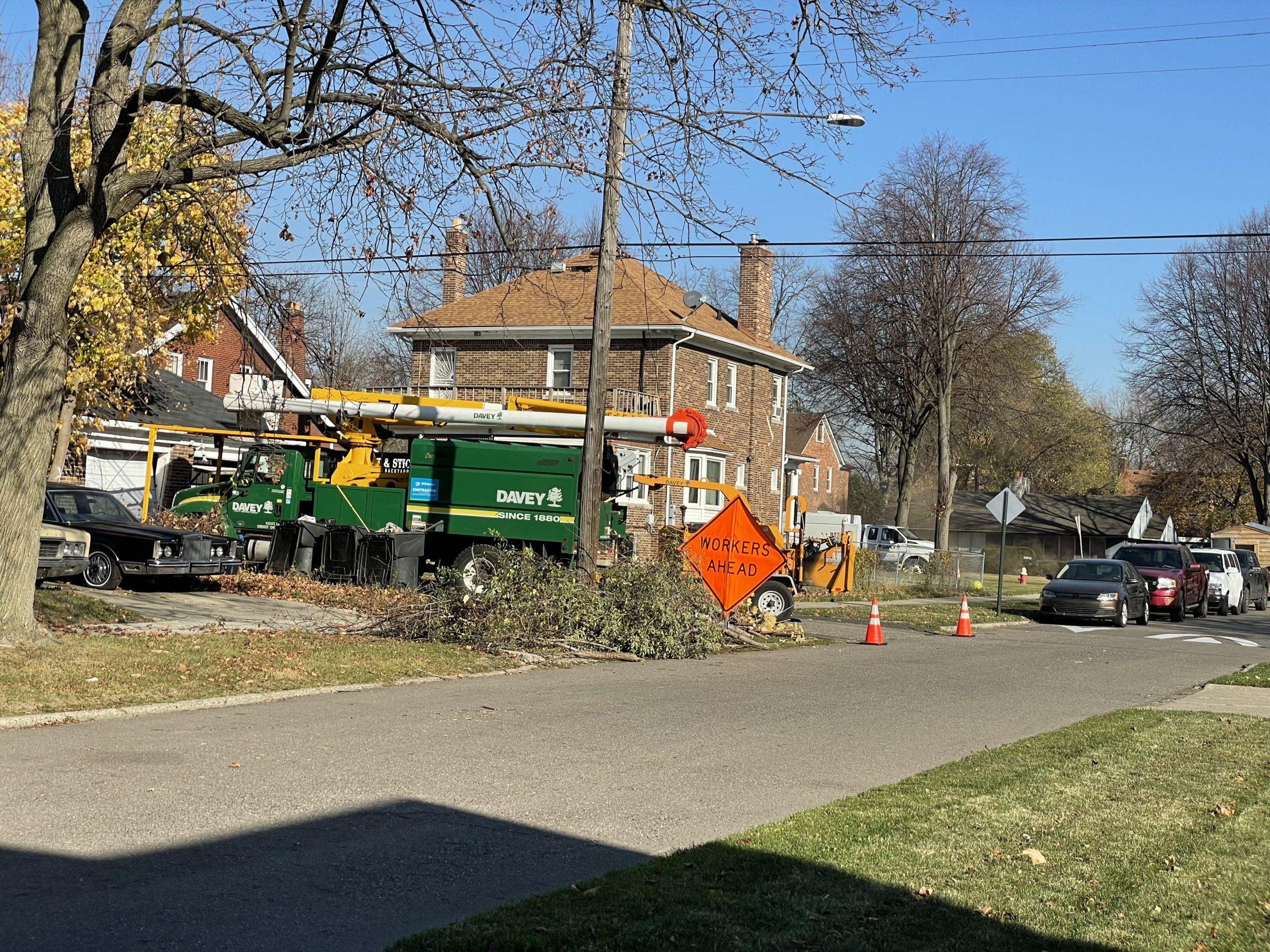 Crews trim back tree limbs along Detroit West side circuit - Empowering ...