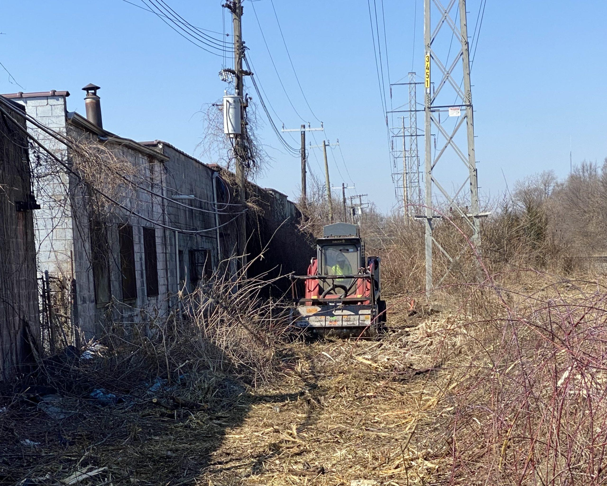 3/15 - DTE tree trimmers improve power reliability near Detroit ...