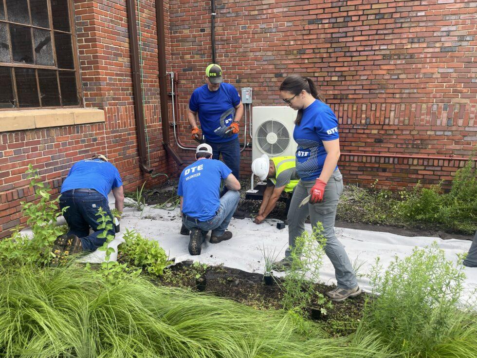 Aiding animals and our environment during Pollinator Week - Empowering ...