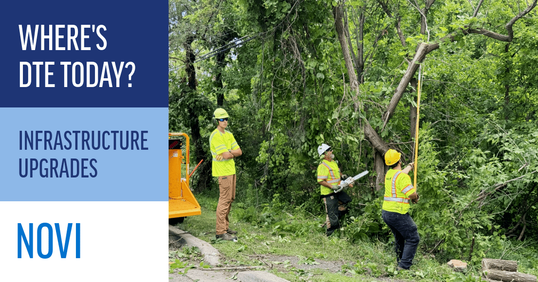 Tree trimming work improves electric reliability for Novi - Empowering ...