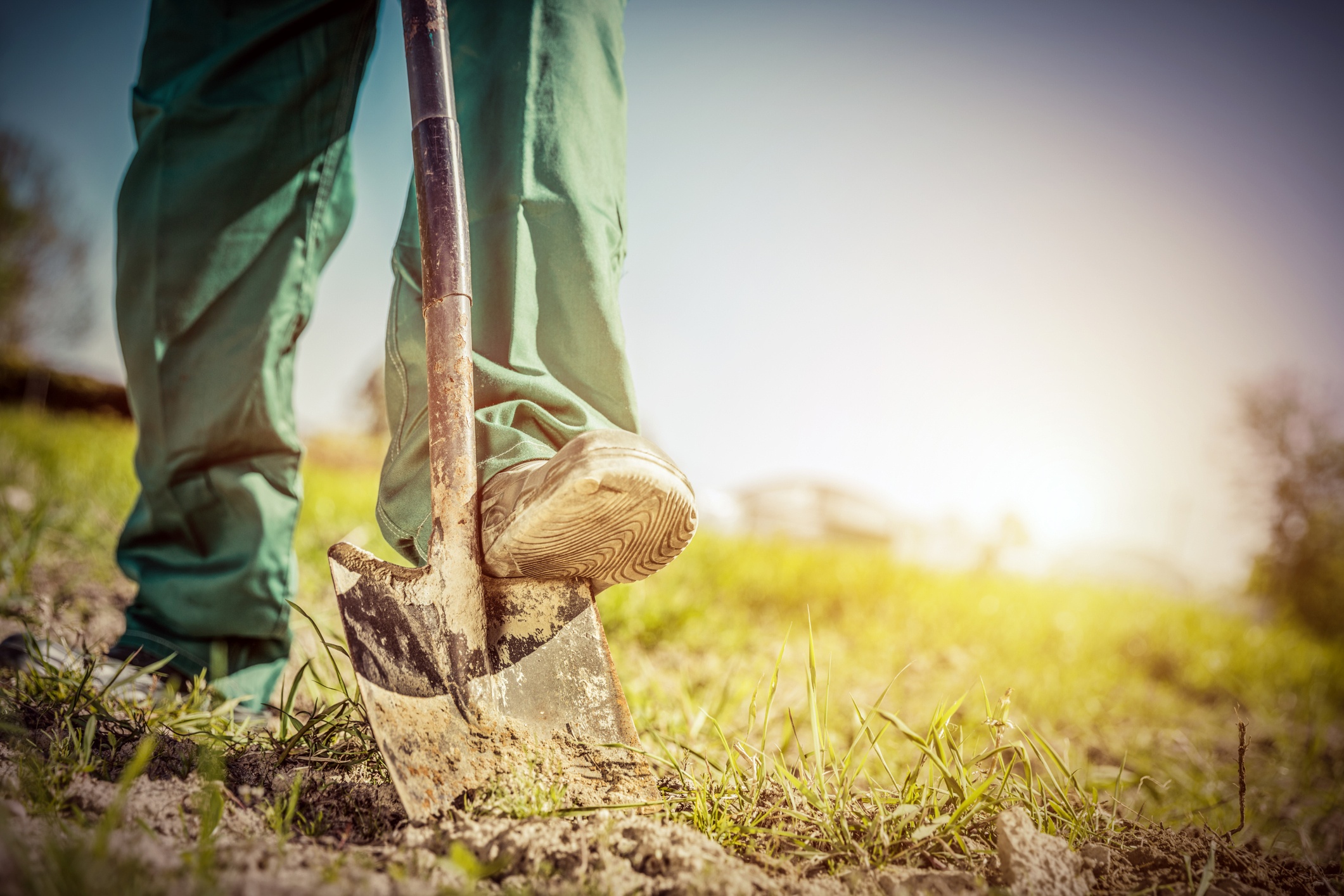 Watch that shovel: top five Michigan counties for digging damage ...
